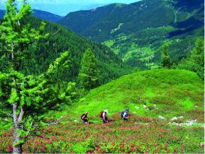 Al Dosso di Costalta