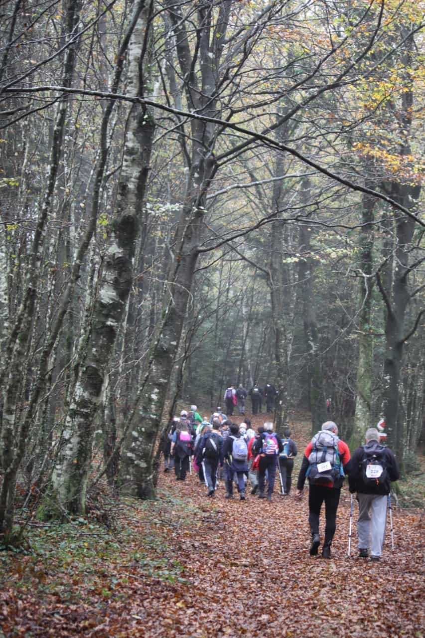 Monterosso Calabro, Polia e San Vito sullo Ionio con Kalabria Trekking