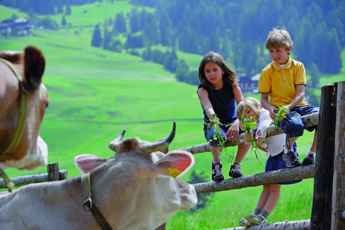 Turismo rurale in crescita