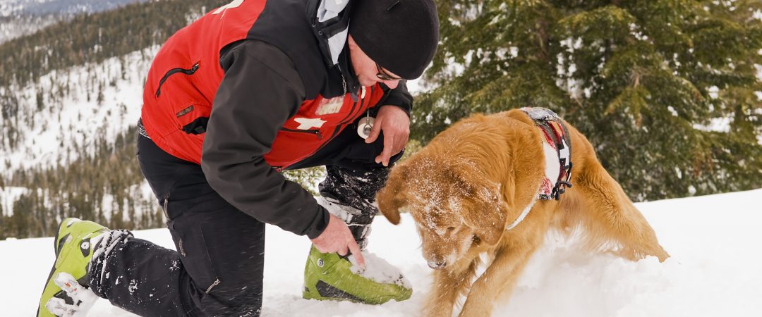 I dati del Soccorso Alpino: 2020 anno record per il numero di ...