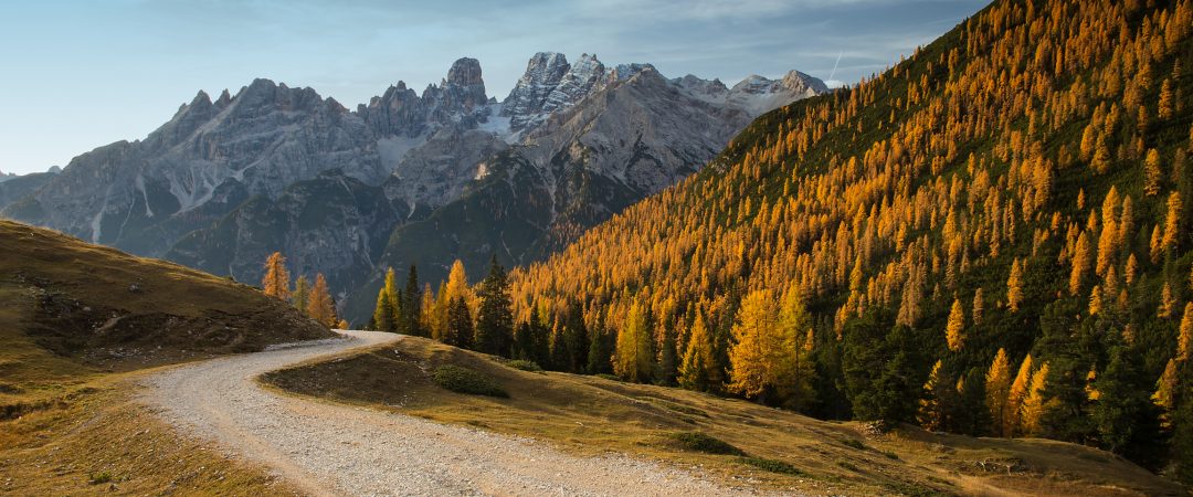 Trentino, trekking tra le foreste di larice: 3 suggestivi itinerari per ...