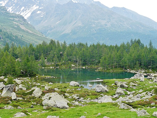 Valgrosina, 3 trekking adatti a tutte le gambe da fare in giornata ...
